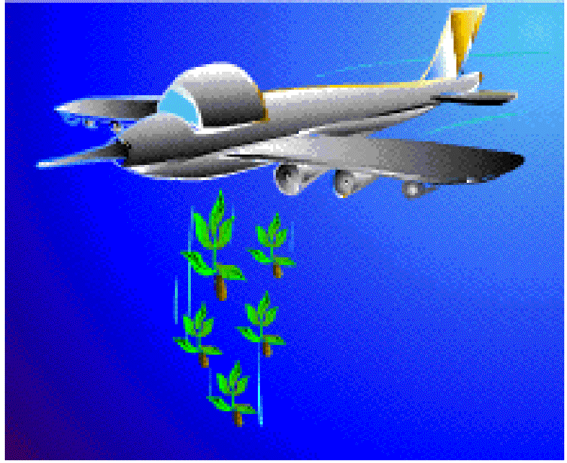 Dropping Trees from the Sky – Hydroseeding | Pitara Kids' Network