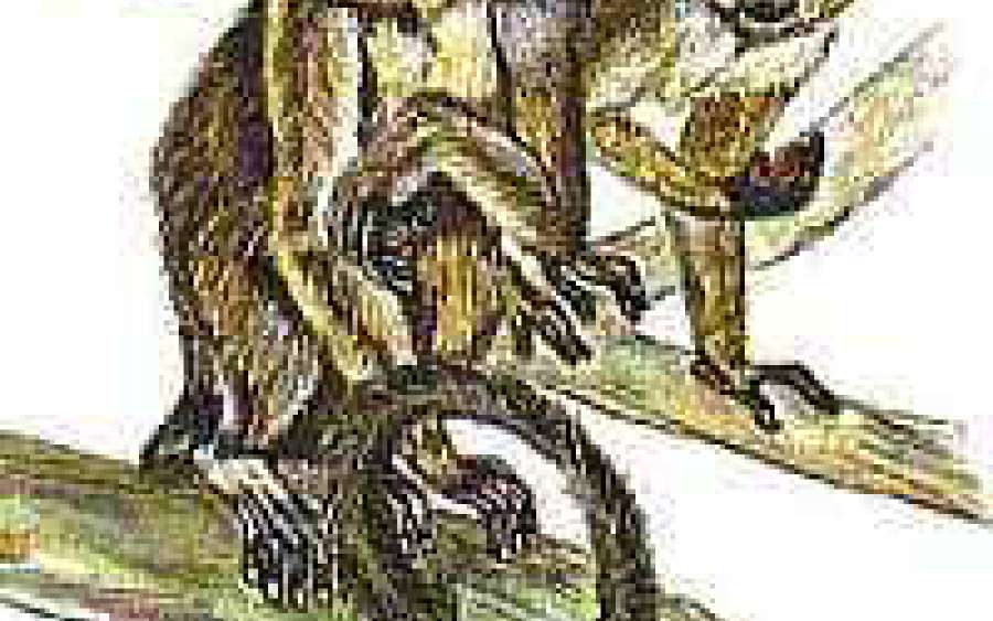 Science for Kids | Pitara Kids' Network