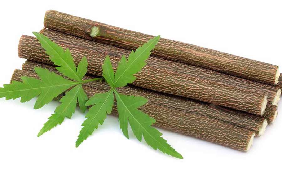 Science for Kids | Pitara Kids' Network