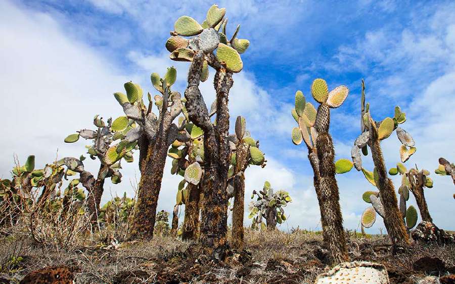 Science News for Kids | Pitara Kids' Network