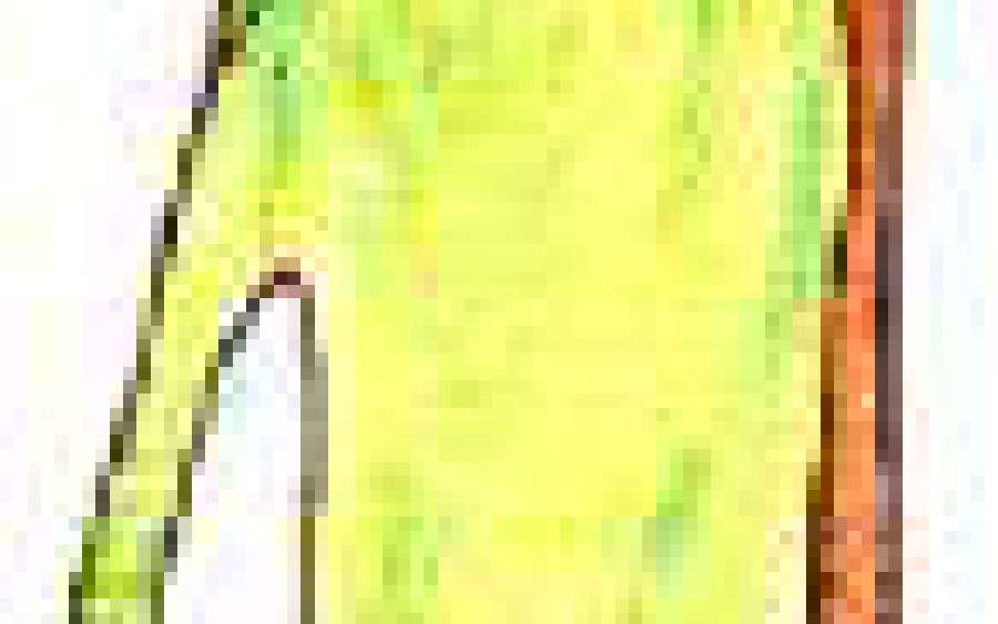 Stories for Kids | Pitara Kids' Network