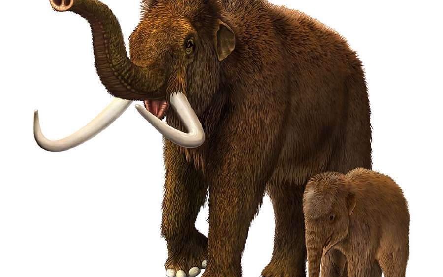 Science for Kids | Pitara Kids' Network